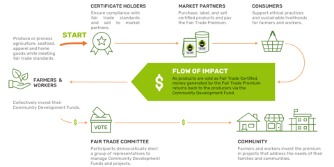 How Does Fair Trade Work? | Understanding the Fair Trade Model