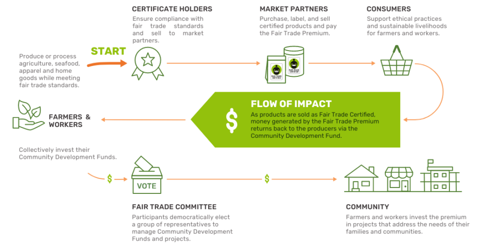 How Does Fair Trade Work? | Understanding the Fair Trade Model