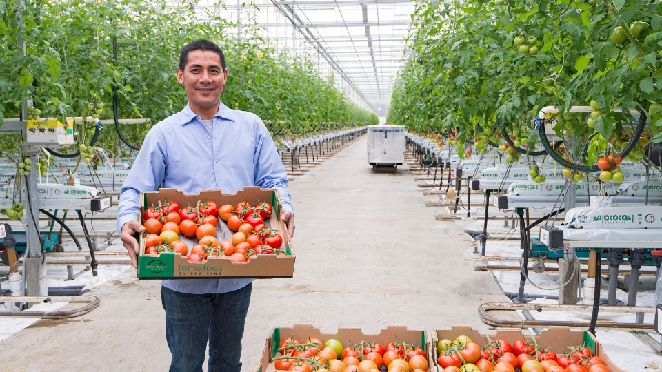 Ethically Sourced Produce - Why Source Fair Trade Produce?