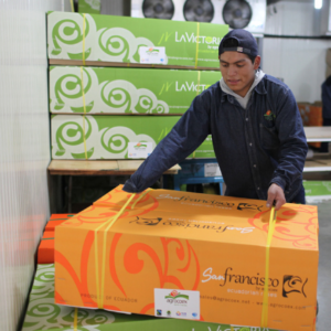 Fair Trade Certified Flowers - Ethically Sourced Florals