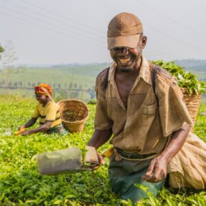 About Fair Trade USA | Our Fair Trade Certified Mission