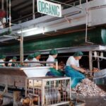 About Fair Trade USA | Our Fair Trade Certified Mission