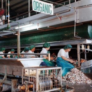 About Fair Trade USA | Our Fair Trade Certified Mission