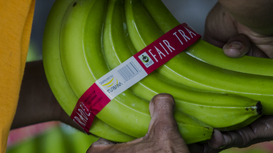 Buy Fair Trade: Shop Fair Trade Certified Products Today