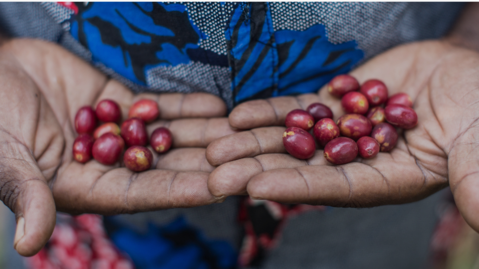 Fair Trade Premium & Prices: List of Fair Trade Commodities