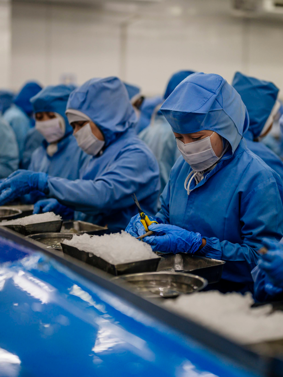 Fair Trade & Safe Working Conditions | Worker Welfare