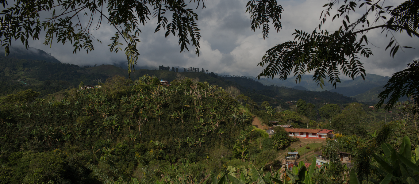 Environment - Fair Trade Certified