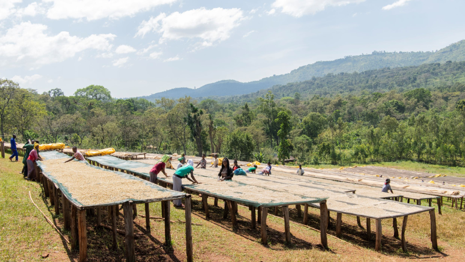 How to Become a Fair Trade Business Partner | Fair Trade Certified