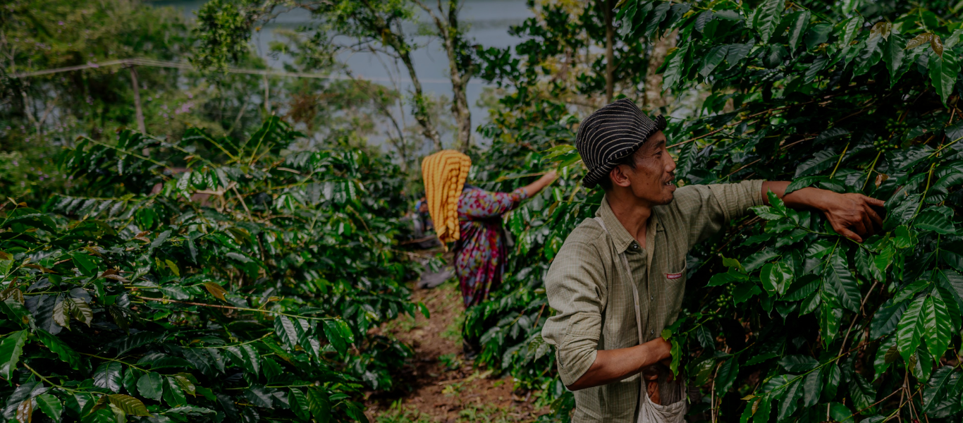 Fair Trade Innovation - Fair Trade Certified