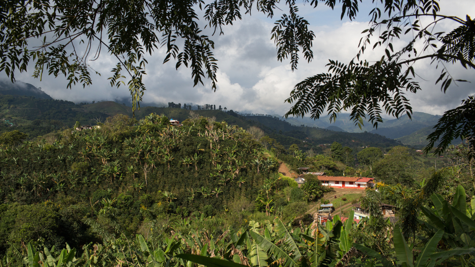 Fair Trade & The Environment: Protecting the Planet