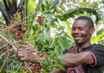 How to Become a Fair Trade Business Partner | Fair Trade Certified