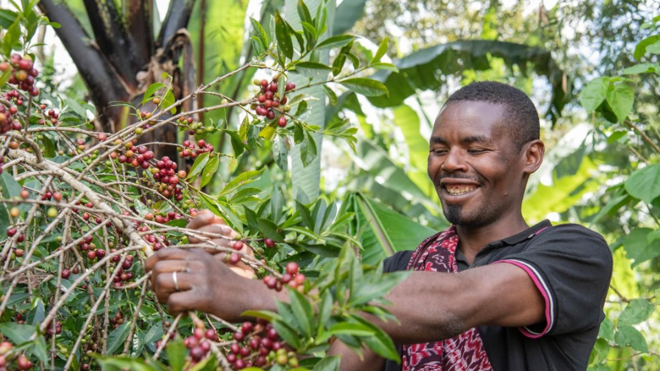 Fair Trade Certified Blog | Explore Stories, News, and More