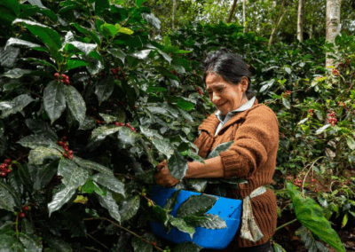 How to Become a Fair Trade Business Partner | Fair Trade Certified